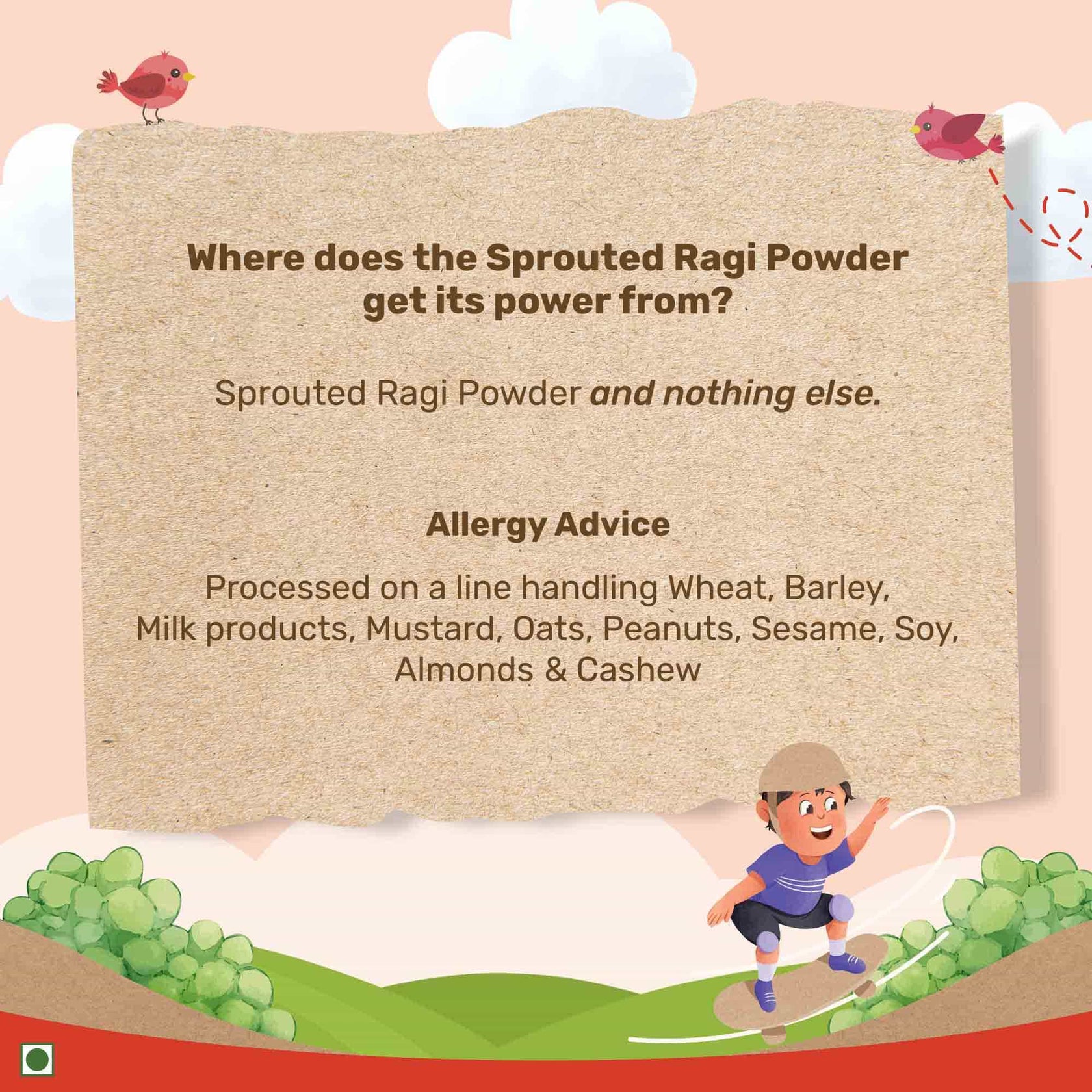 Sprouted Ragi Powder – Conscious Food Pvt Ltd