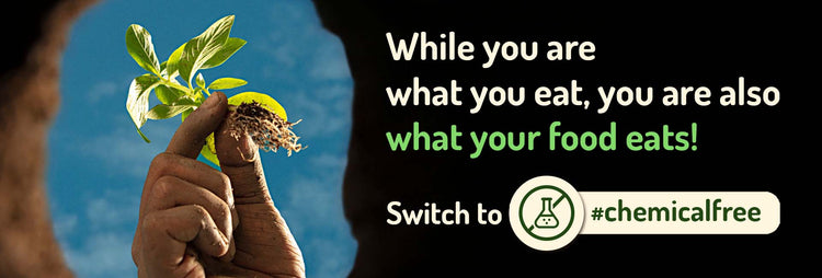 Buy Organic Food Products & Groceries Online in India | Conscious Food ...