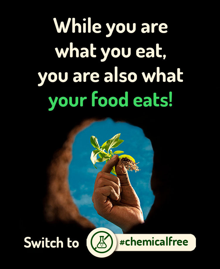 Buy Organic Food Products & Groceries Online in India | Conscious Food ...